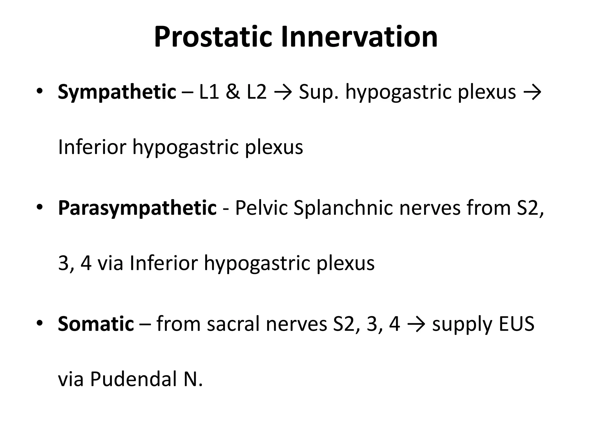 Radical prostatectomy - Surgical anatomy | PPTX