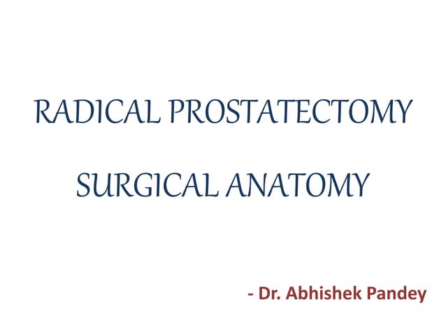 Radical prostatectomy - Surgical anatomy | PPTX | Reproductive Health ...