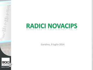 Radici Novacips - Storia delle certificazioni dei sistemi di gestione ...