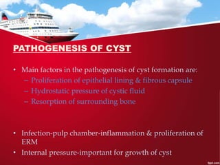 radicularcyst histology treatment n prognosis | PPTX | Dental Health ...