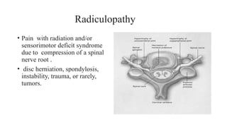 radiculopathy.pptx saroj chandra spine fellow | PPTX