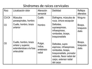 RADICULOPATIA.pptx
