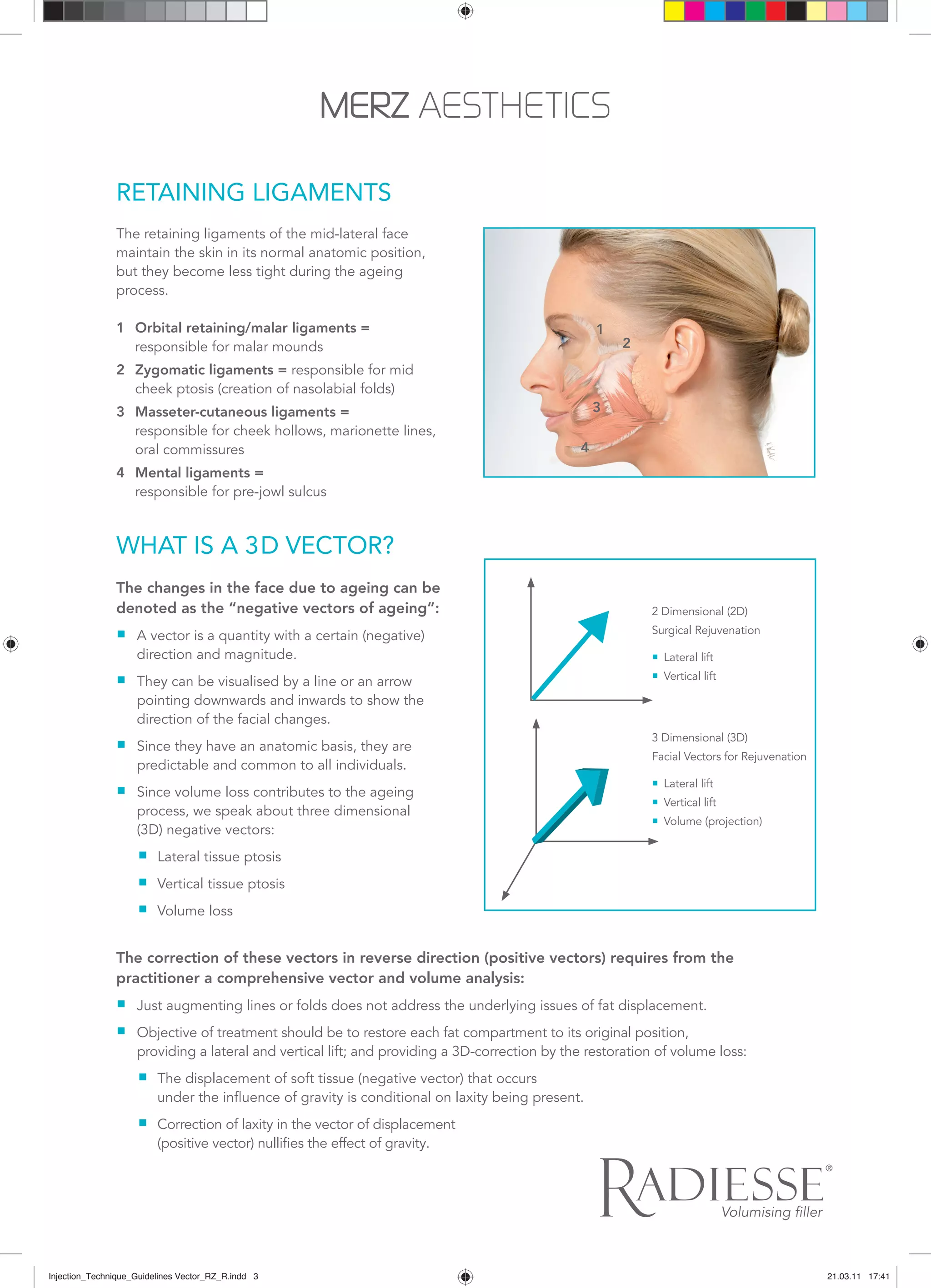 Radiesse Injection Vectoring | PDF