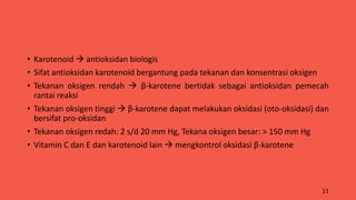 Radikal Bebas dan Antioksidan Fungsional | PPTX