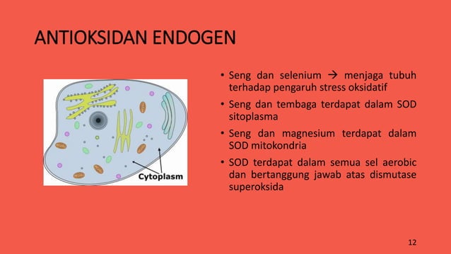 Radikal Bebas dan Antioksidan Fungsional | PPTX