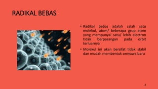 Radikal Bebas dan Antioksidan Fungsional | PPTX