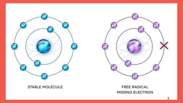 Radikal Bebas dan Antioksidan Fungsional | PPTX