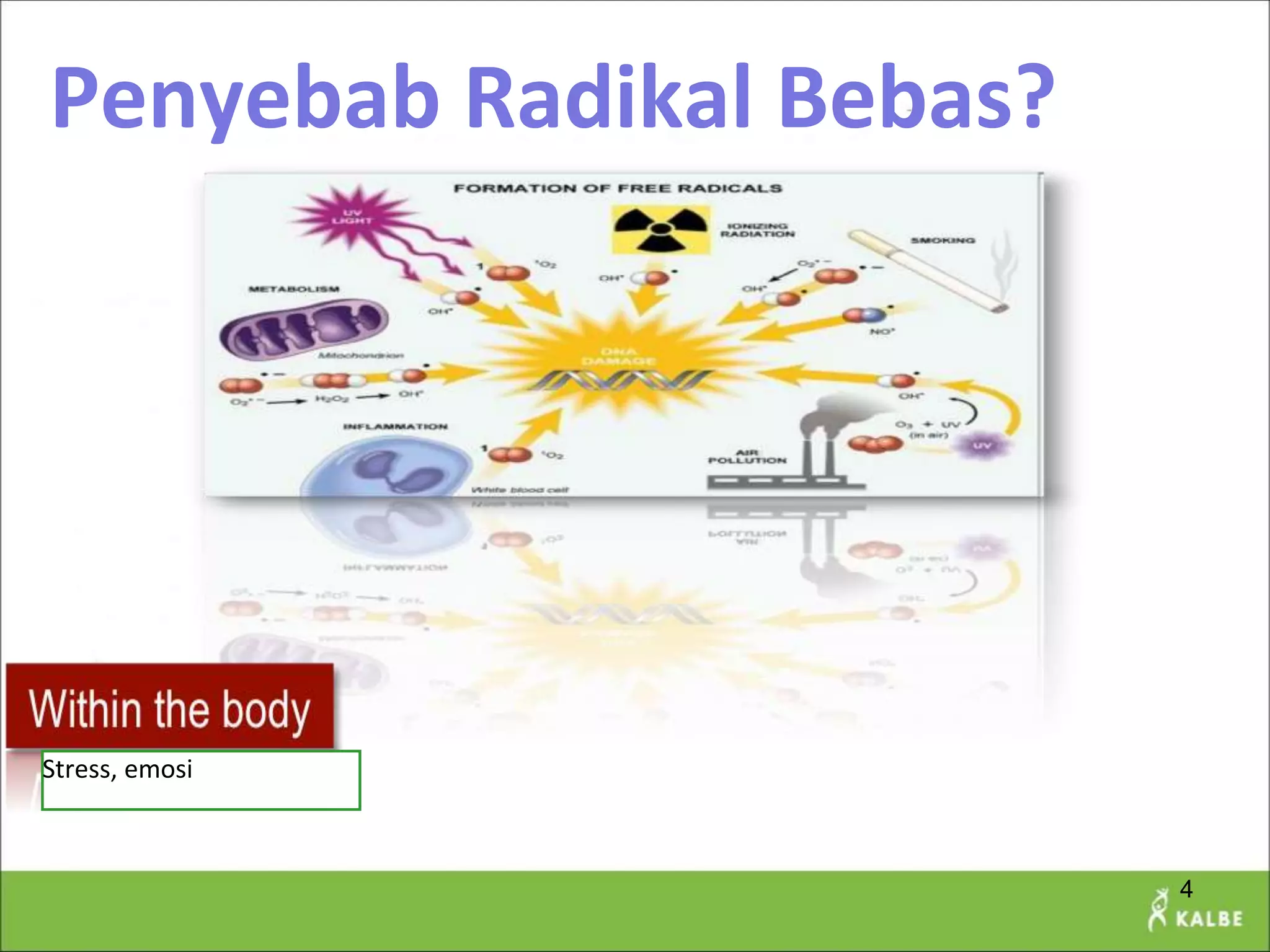 Radikal bebas vs Antioksidan.pptx