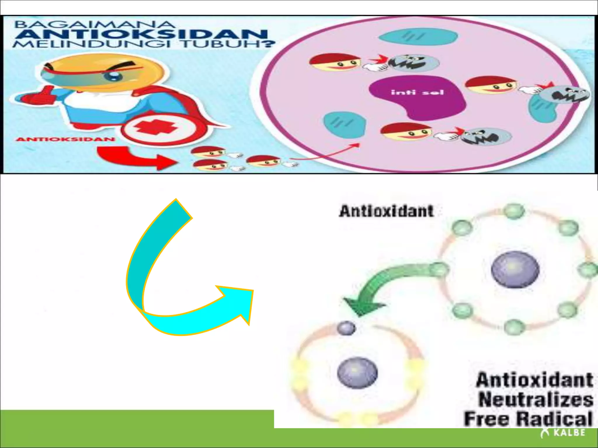 Radikal bebas vs Antioksidan.pptx