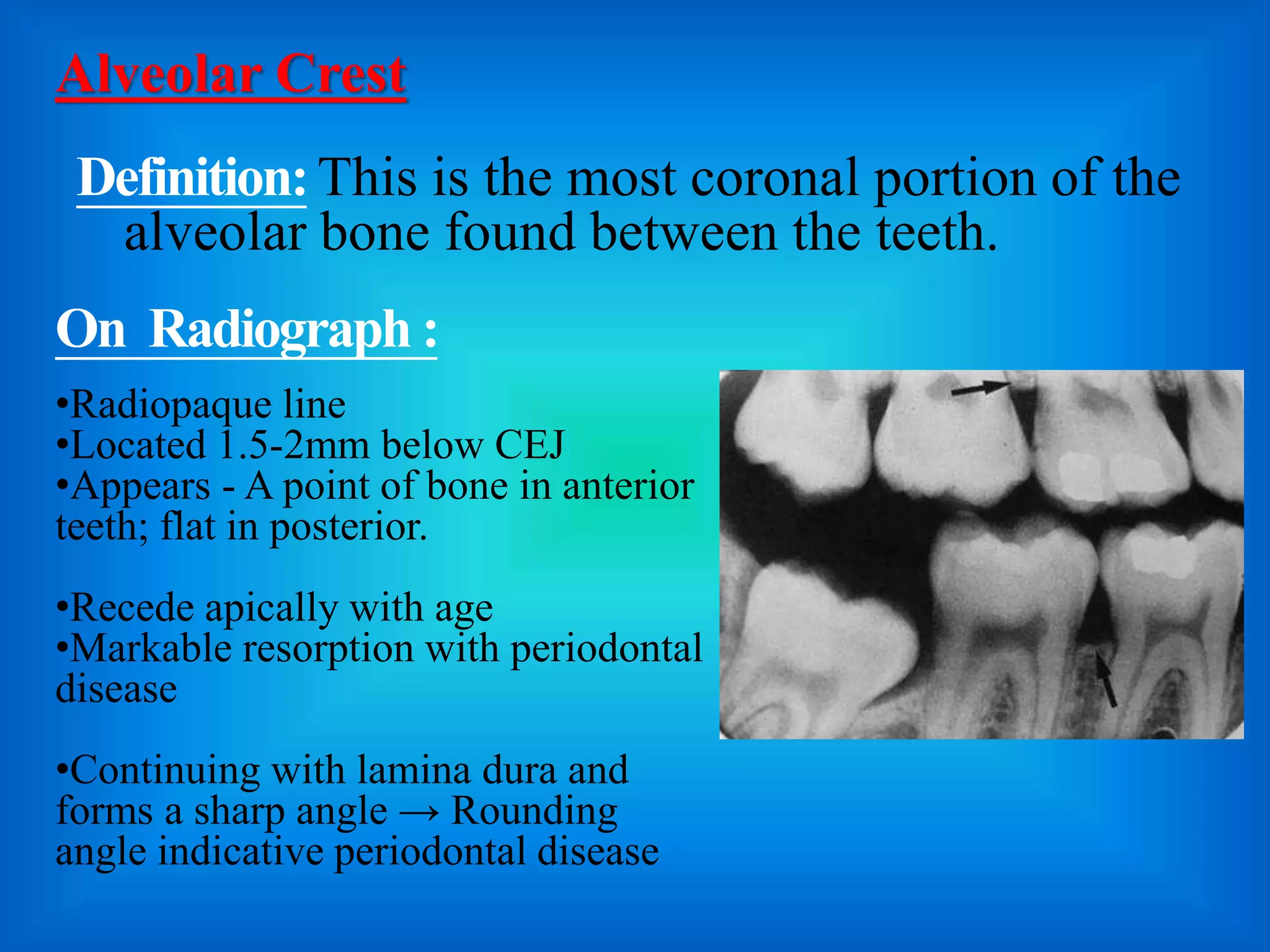 mandibular landmarks of radiograph | PPTX