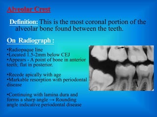 mandibular landmarks of radiograph | PPTX