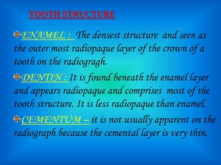 mandibular landmarks of radiograph | PPTX