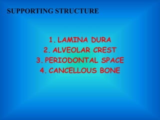 mandibular landmarks of radiograph | PPTX