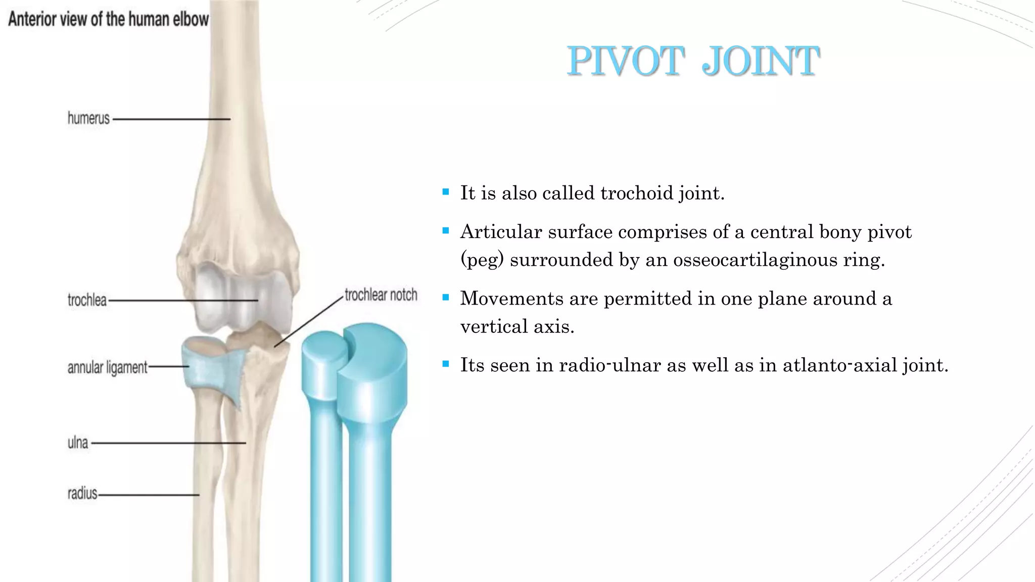 anatomy of Radio ulnar joint | PPTX