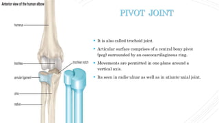 anatomy of Radio ulnar joint | PPTX
