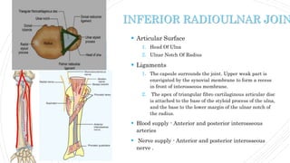 anatomy of Radio ulnar joint | PPTX