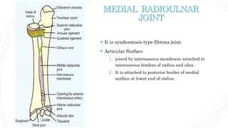 anatomy of Radio ulnar joint | PPTX