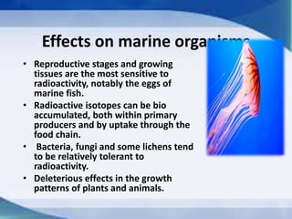 Radioactive elements in water | PPTX
