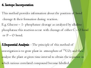 Radioactive isotopes in the investigation of biogenetic studies | PDF