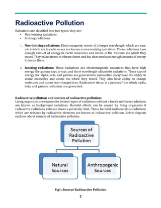Environmental Pollution | DOCX