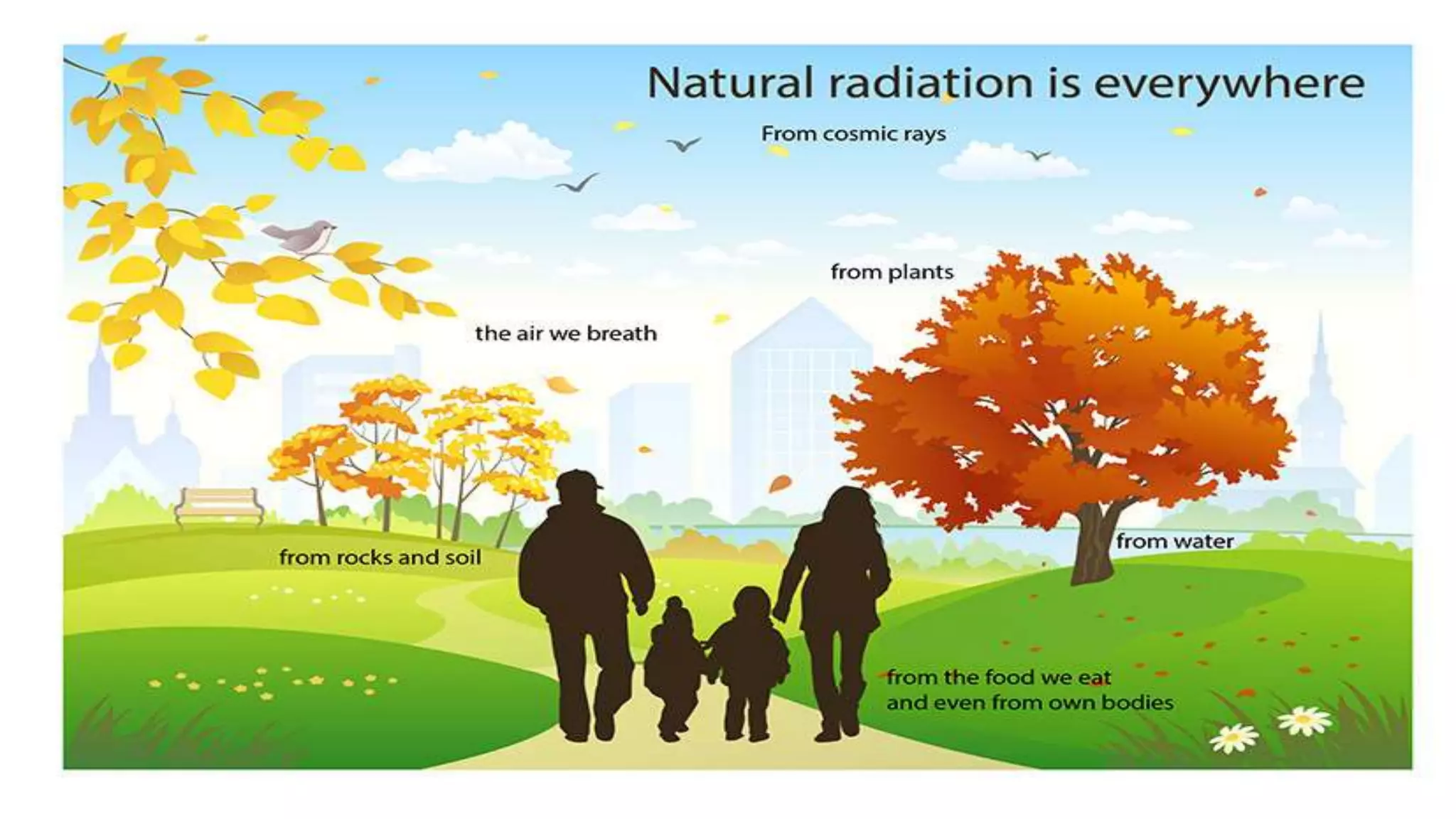 RADIOACTIVE POLLUTION.pptx