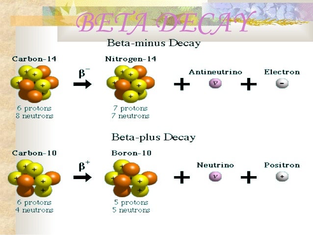 Beta Plus Decay