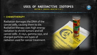 Radioactivity | PDF