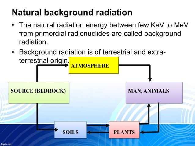 Radioactivity ppt.pptx