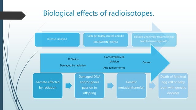 Applications of Radioactivity | PPTX