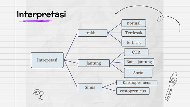 Radioanatomi Thorax_Andhina Shaffa A_4151211482.pptx