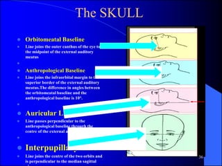 Radiographic Anatomy, MDIRT Nchanji Nkeh Keneth | PDF