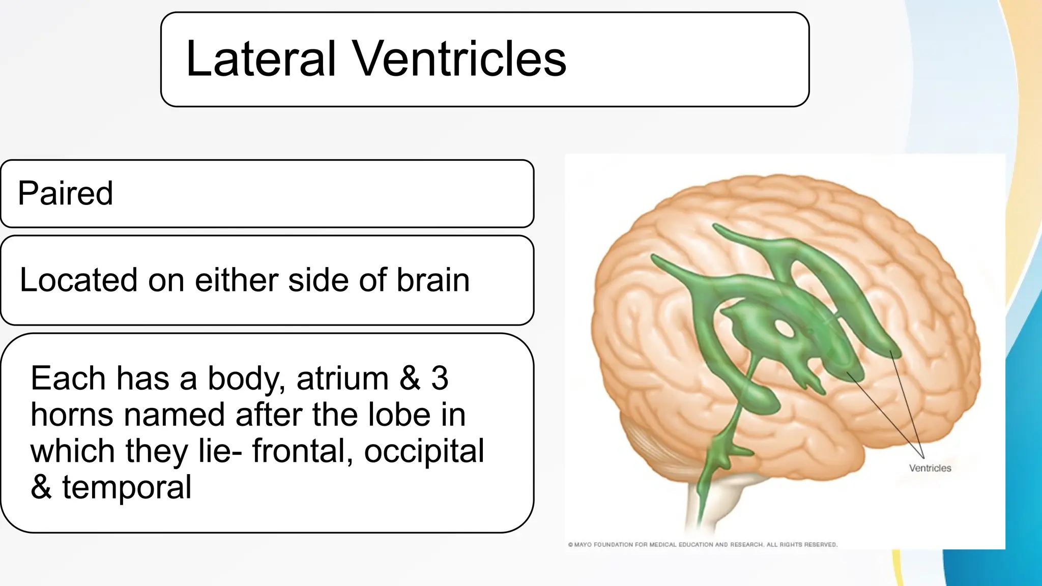 Radioanatomy of Brain , basic for post graduate doctors .pptx