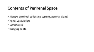 Radioanatomy of retroperitoneal space | PPTX