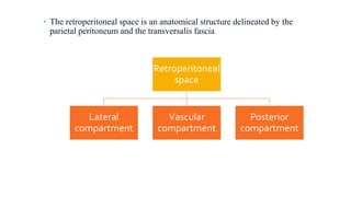 Radioanatomy of retroperitoneal space | PPTX