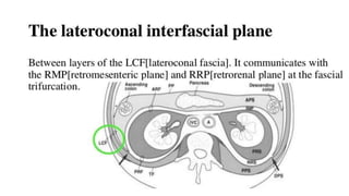 Radioanatomy of retroperitoneal space | PPTX