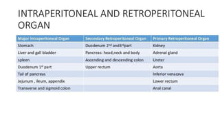 Radioanatomy of retroperitoneal space | PPTX