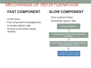4 R's of radiobiology | PPTX