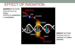 4 R's of radiobiology | PPTX