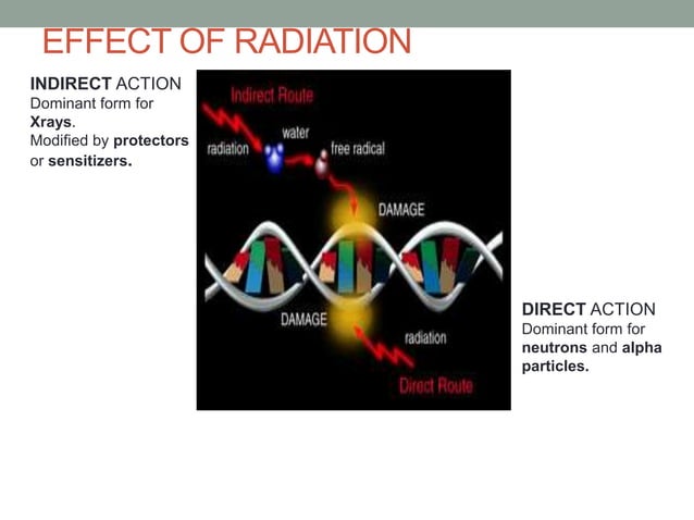 4 R's of radiobiology | PPTX | Cancer | Diseases and Conditions