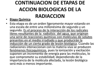Radiobiologia | PPTX