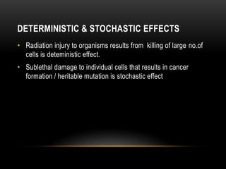 Radiobiology | PPTX | Dental Health | Diseases and Conditions