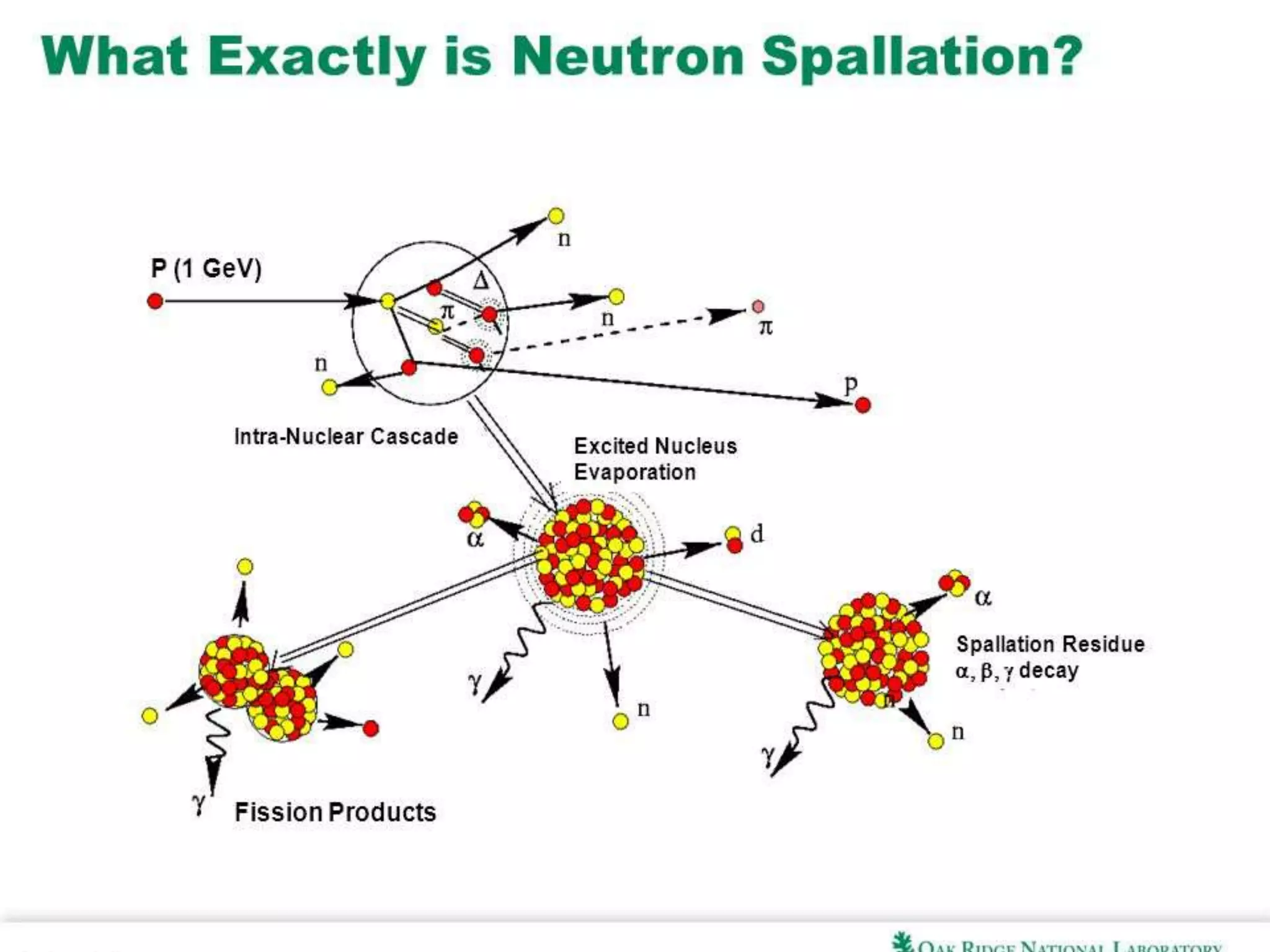 Radiobiology -Physics and Chemistry of Radiation Absorption | PPTX