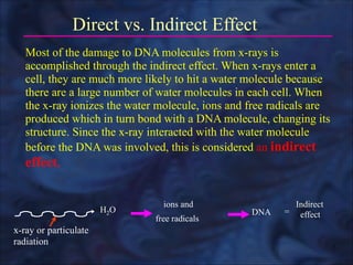 Radiation Biology | PDF