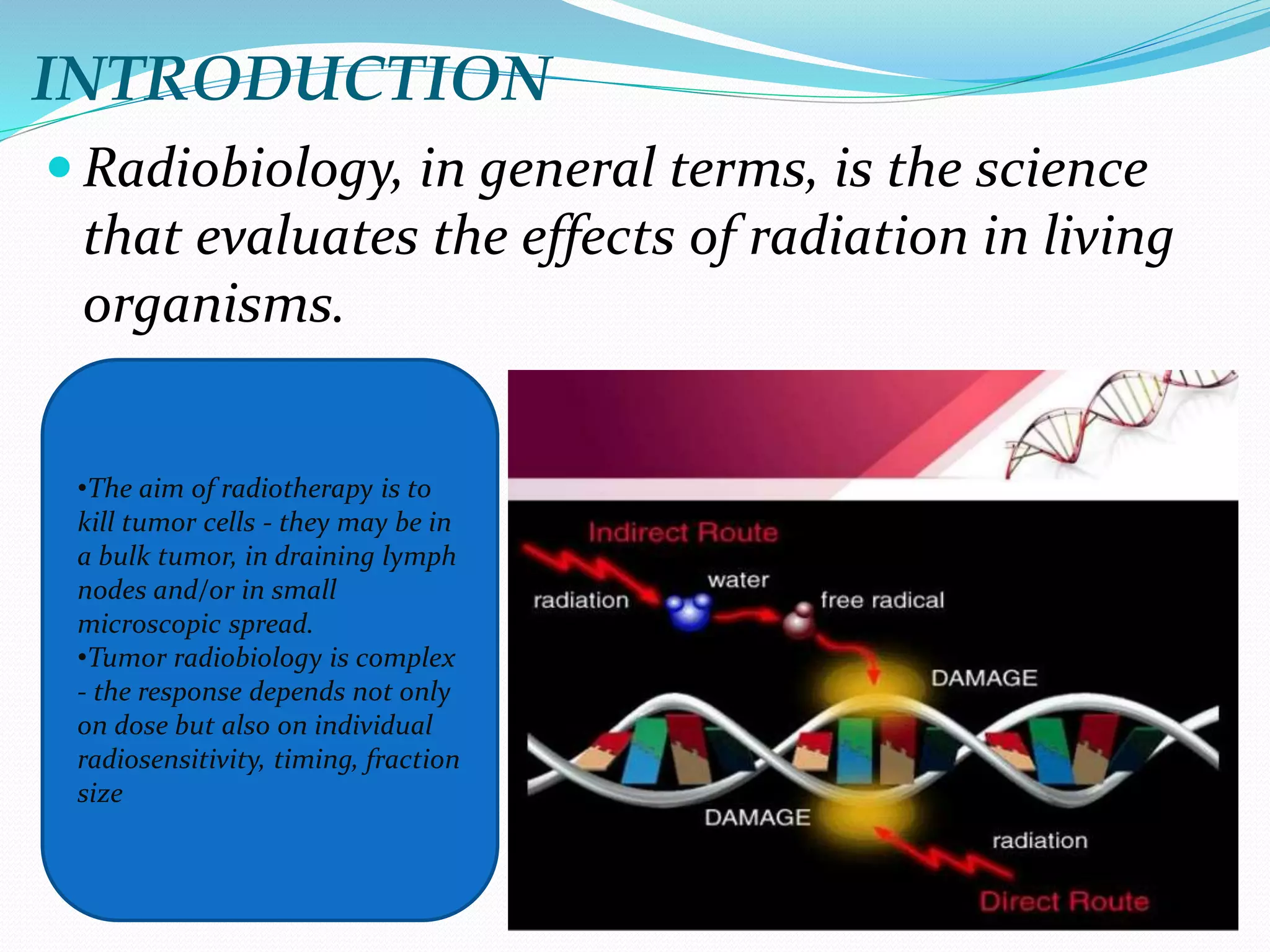 Radiobiology- Basic Guide | PPTX | Cancer | Diseases and Conditions