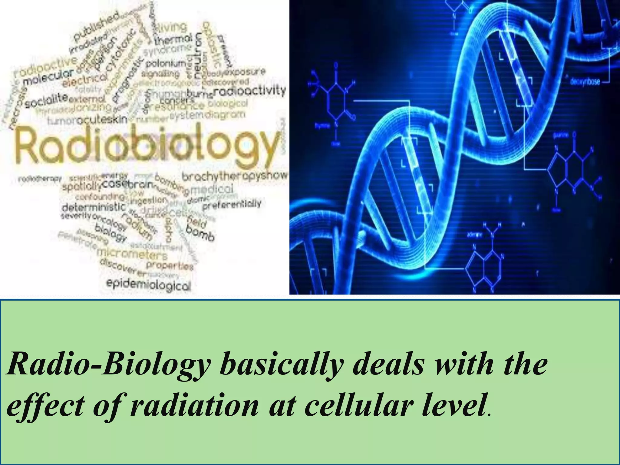 Radiobiology- Basic Guide | PPTX | Cancer | Diseases and Conditions