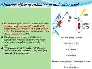Radiobiology- Basic Guide | PPTX