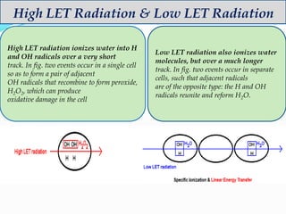 Radiobiology- Basic Guide | PPTX