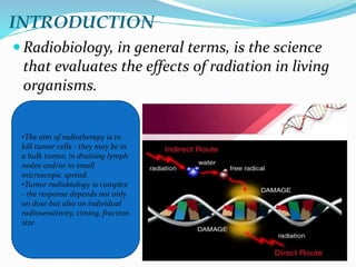 Radiobiology- Basic Guide | PPTX