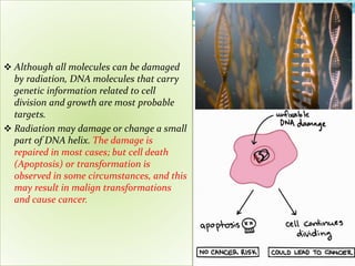 Radiobiology- Basic Guide | PPTX