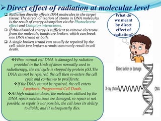 Radiobiology- Basic Guide | PPTX